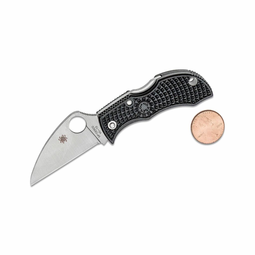 Spyderco Manbug -plain edge - The EDC Solution